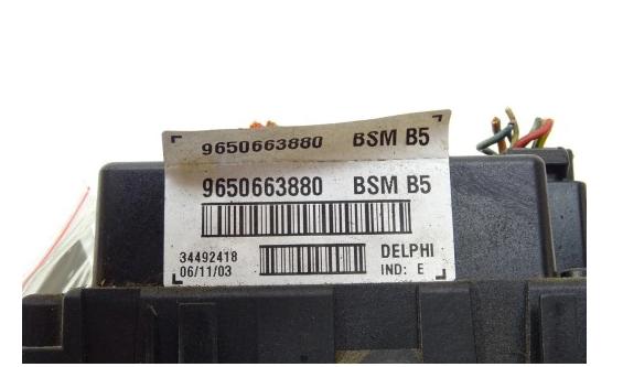 modul BSM PEUGEOT 307 SW 2.0B 9650663880 | EkoDily.cz