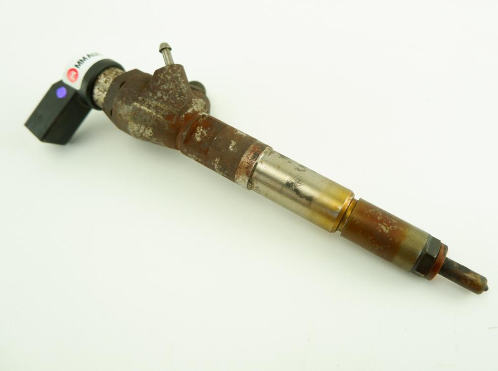 vstřikovač RENAULT SCENIC III 1.5 DCI 8200704191 | EkoDily.cz