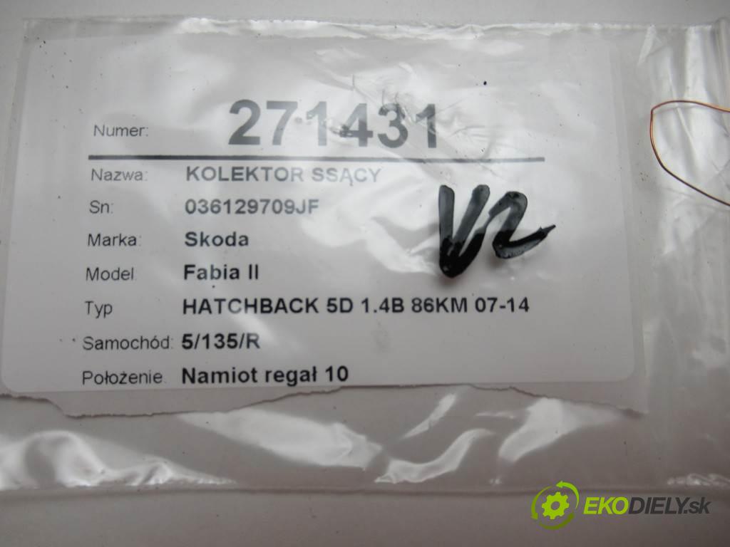 Skoda Fabia II 2010 63 kW HATCHBACK 5D 1.4B 86KM 07-14 1400 potrubí ...